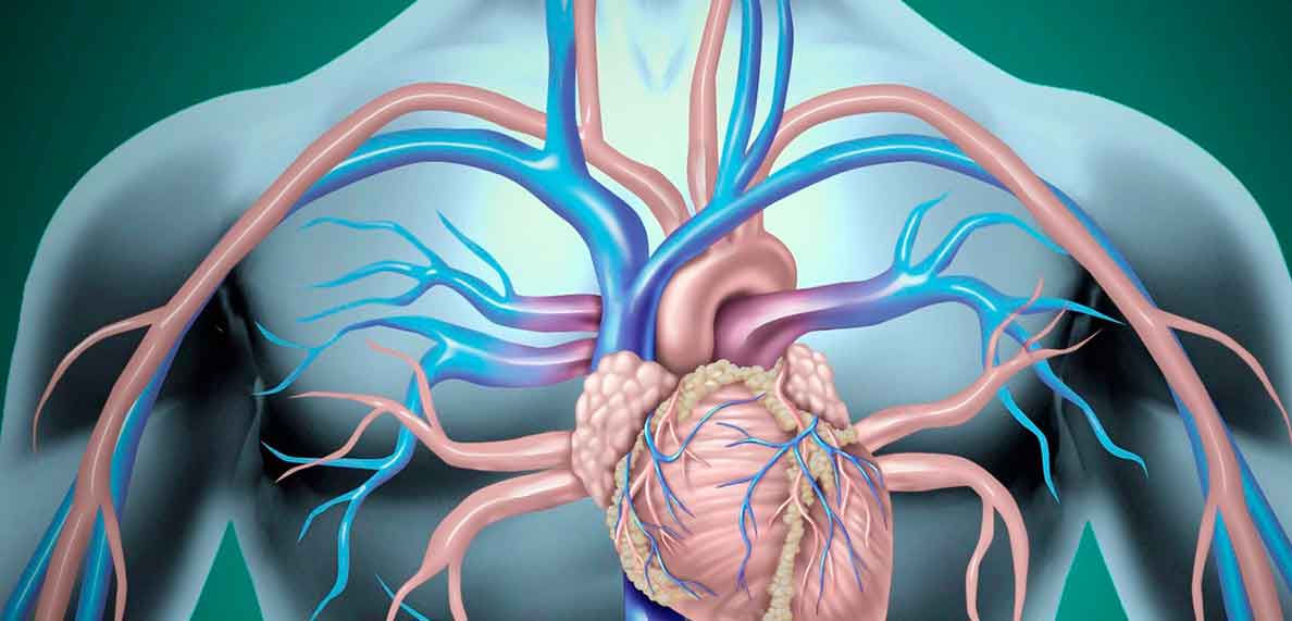 Clínica de Angiologia - Imcamp
